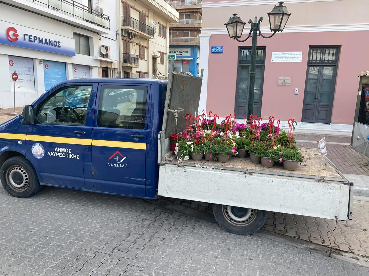 ΦΥΤΕΥΣΗ ΚΑΛΛΩΠΙΣΤΙΚΩΝ ΦΥΤΩΝ, ΚΕΝΤΡΙΚΗ ΠΛΑΤΕΙΑ ΛΑΥΡΙΟΥ [ΜΑΪ. 2021] – ΔΑΝΕΤΑΛ