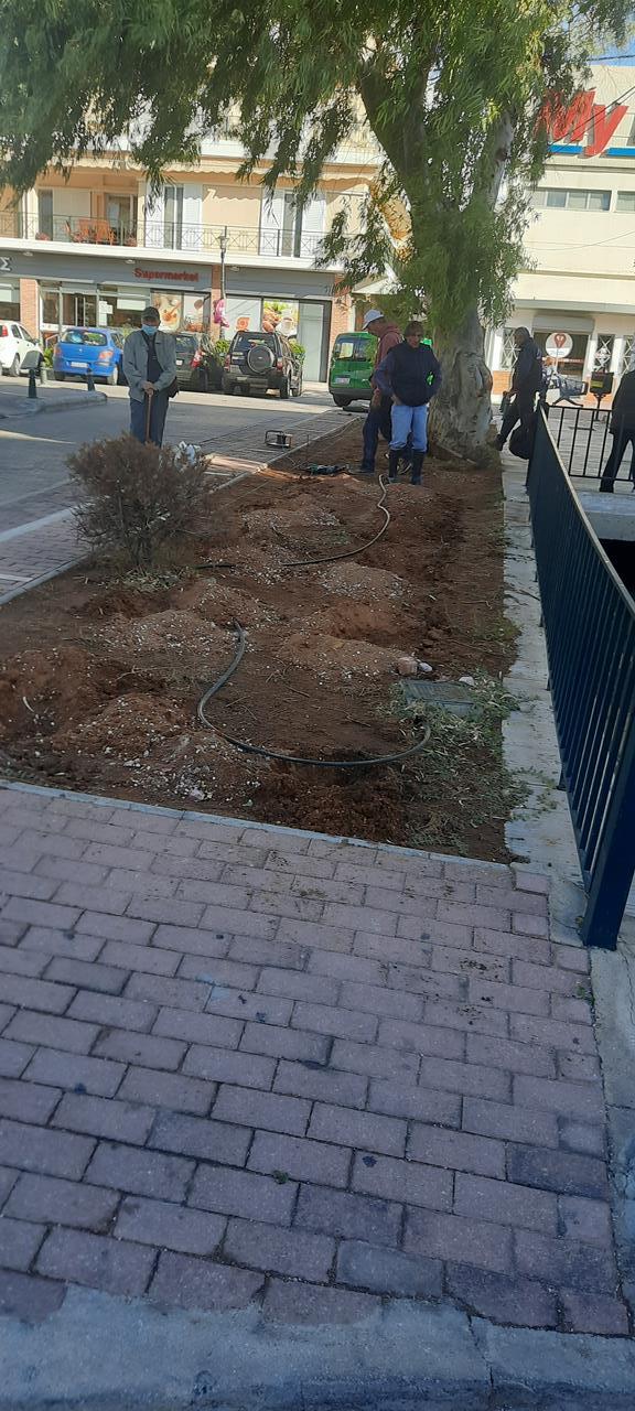 ΦΥΤΕΥΣΗ ΛΟΥΛΟΥΔΙΩΝ ΣΕ ΠΑΡΤΕΡΙ, ΘΕΣΗ ΑΓΑΛΜΑ, ΚΕΝΤΡΙΚΗ ΠΛΑΤΕΙΑ ΛΑΥΡΙΟΥ ...