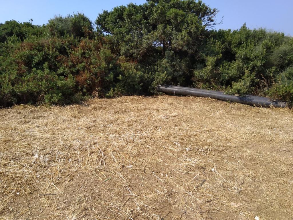 ΚΑΘΑΡΙΣΜΟΣ ΠΑΡΑΛΙΑΣ ΧΑΡΑΚΑ [ΙΟΥΛ. 2020] – ΔΑΝΕΤΑΛ