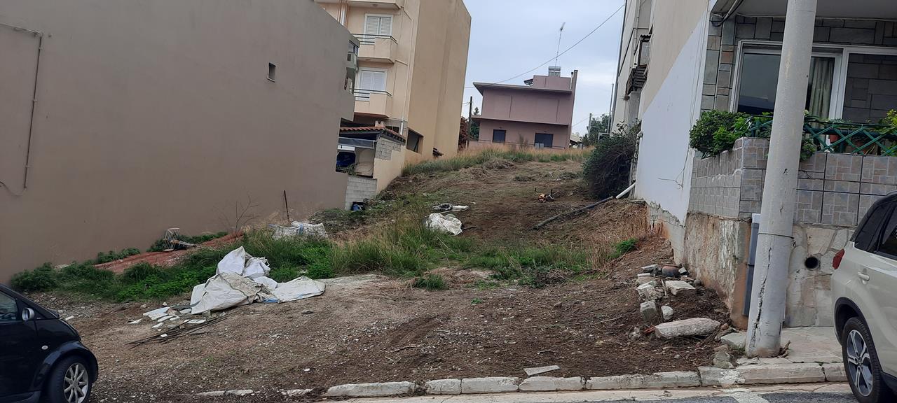 ΚΟΠΗ ΧΟΡΤΩΝ, ΘΕΣΗ ΔΕΞΑΜΕΝΗ, ΛΑΥΡΙΟ [ΔΕΚ.2022] – ΔΑΝΕΤΑΛ