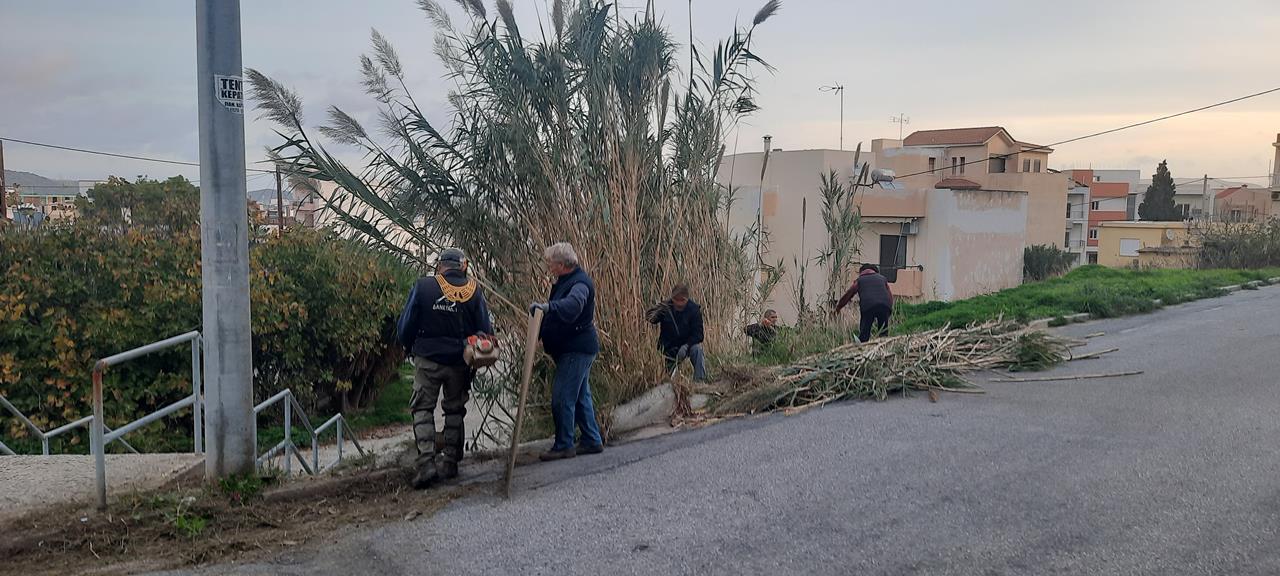 ΚΟΠΗ ΧΟΡΤΩΝ, ΘΕΣΗ ΔΕΞΑΜΕΝΗ, ΛΑΥΡΙΟ [ΔΕΚ.2022] – ΔΑΝΕΤΑΛ