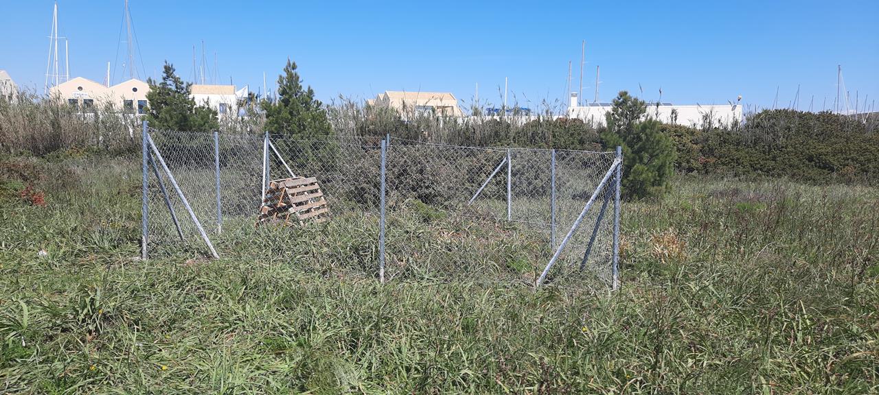 ΠΕΡΙΦΡΑΞΗ ΠΗΓΑΔΙΟΥ ΠΛΗΣΙΟΝ OLYMPIC MARINE [ΑΠΡ. 2022] – ΔΑΝΕΤΑΛ