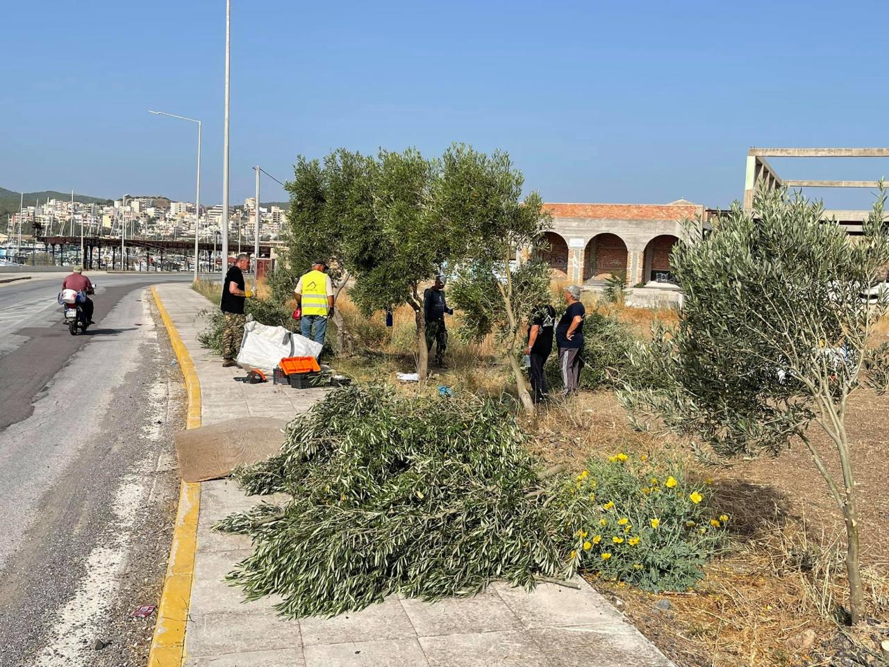 ΠΕΡΙΠΟΙΗΣΗ ΚΟΙΝΟΧΡΗΣΤΩΝ ΧΩΡΩΝ, ΛΕΩΦΟΡΟΣ ΜΙΚΗ ΘΕΟΔΩΡΑΚΗ, ΛΑΥΡΙΟ [ΑΠΡ ...