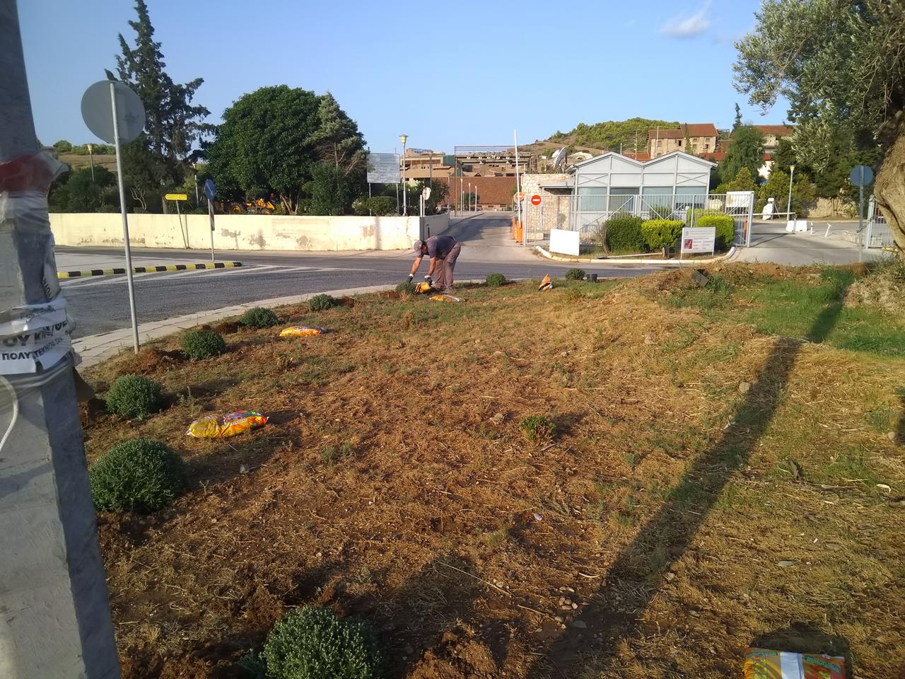 ΦΥΤΕΥΣΗ ΚΑΛΛΩΠΙΣΤΙΚΩΝ ΦΥΤΩΝ ΣΤΗΝ ΕΙΣΟΔΟ ΛΑΥΡΙΟΥ [ΝΟΕ. 2020] – ΔΑΝΕΤΑΛ