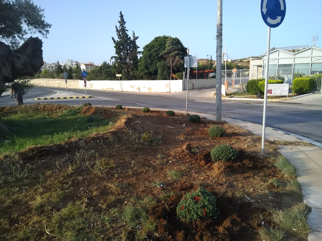 ΦΥΤΕΥΣΗ ΚΑΛΛΩΠΙΣΤΙΚΩΝ ΦΥΤΩΝ ΣΤΗΝ ΕΙΣΟΔΟ ΛΑΥΡΙΟΥ [ΝΟΕ. 2020] – ΔΑΝΕΤΑΛ