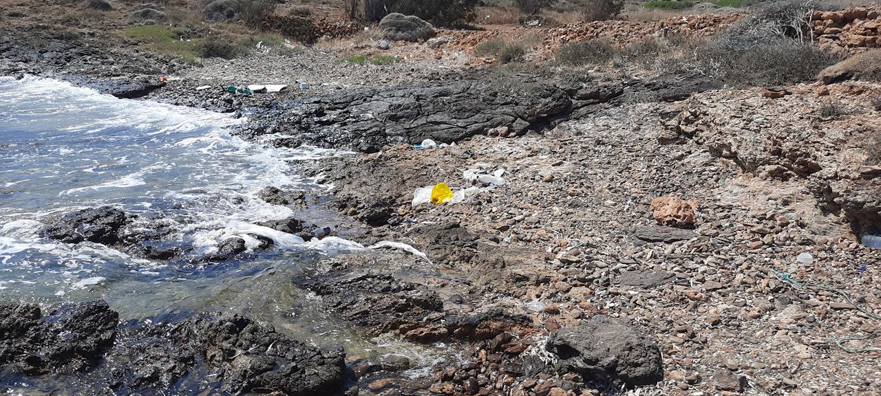 ΚΑΘΑΡΙΣΜΟΣ ΠΑΡΑΛΙΑΣ ΠΕΡΔΙΚΑ, ΛΑΥΡΙΟ [ΙΟΥΛ. 2021] – ΔΑΝΕΤΑΛ
