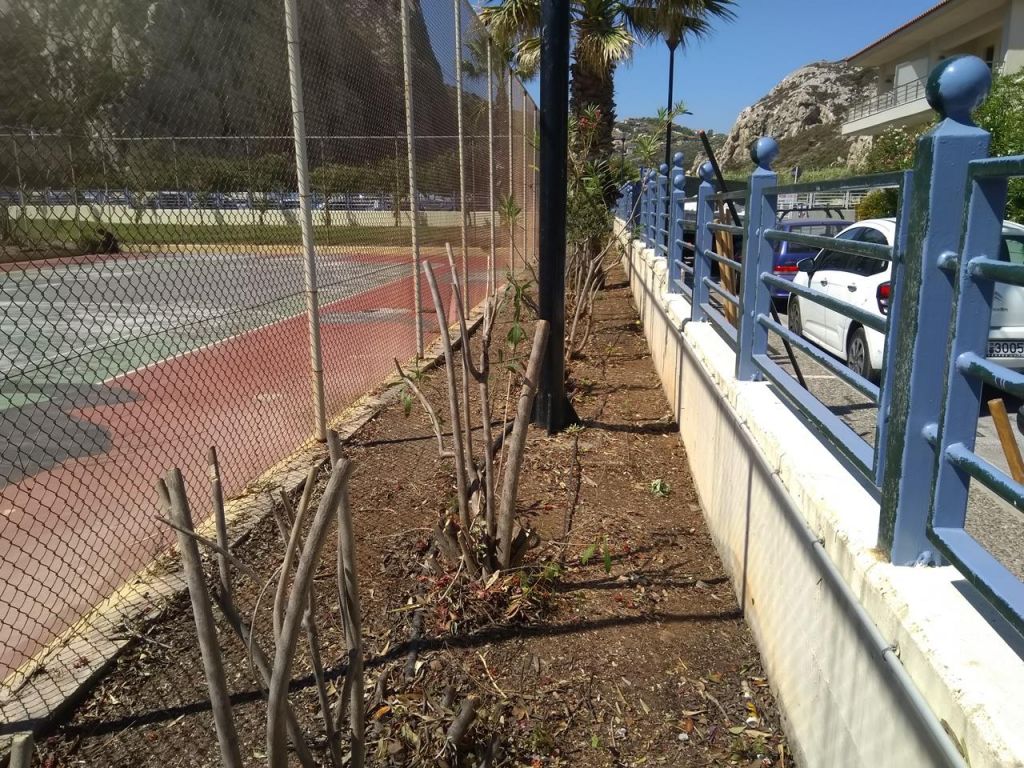 ΚΑΘΑΡΙΣΜΟΣ ΧΩΡΟΥ ΑΝΑΨΥΚΤΗΡΙΟΥ, ΚΑΚΗ ΘΑΛΑΣΣΑ, ΚΕΡΑΤΕΑ [ΑΥΓ. 2020] – ΔΑΝΕΤΑΛ