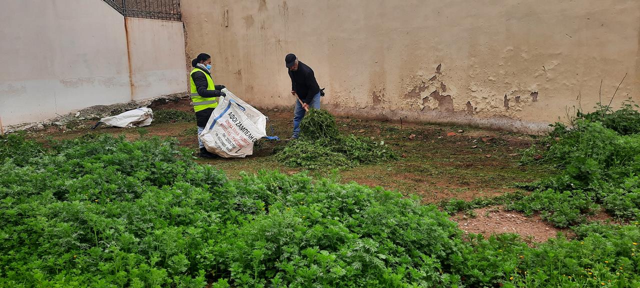 ΚΟΠΗ ΧΟΡΤΩΝ ΕΠΙ ΤΗΣ ΟΔΟΥ ΕΡΜΟΥ, ΛΑΥΡΙΟ [ΦΕΒ. 2023] – ΔΑΝΕΤΑΛ