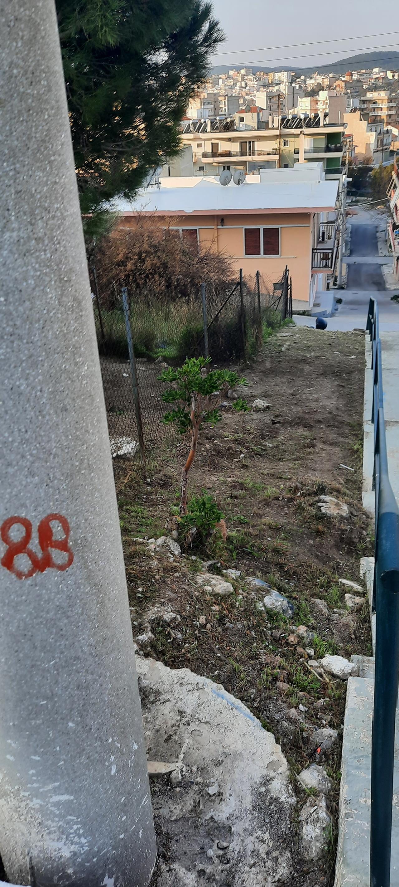 ΚΟΠΗ ΧΟΡΤΩΝ, ΝΥΧΤΟΧΩΡΙ, ΛΑΥΡΙΟ [ΦΕΒ. 2023] – ΔΑΝΕΤΑΛ