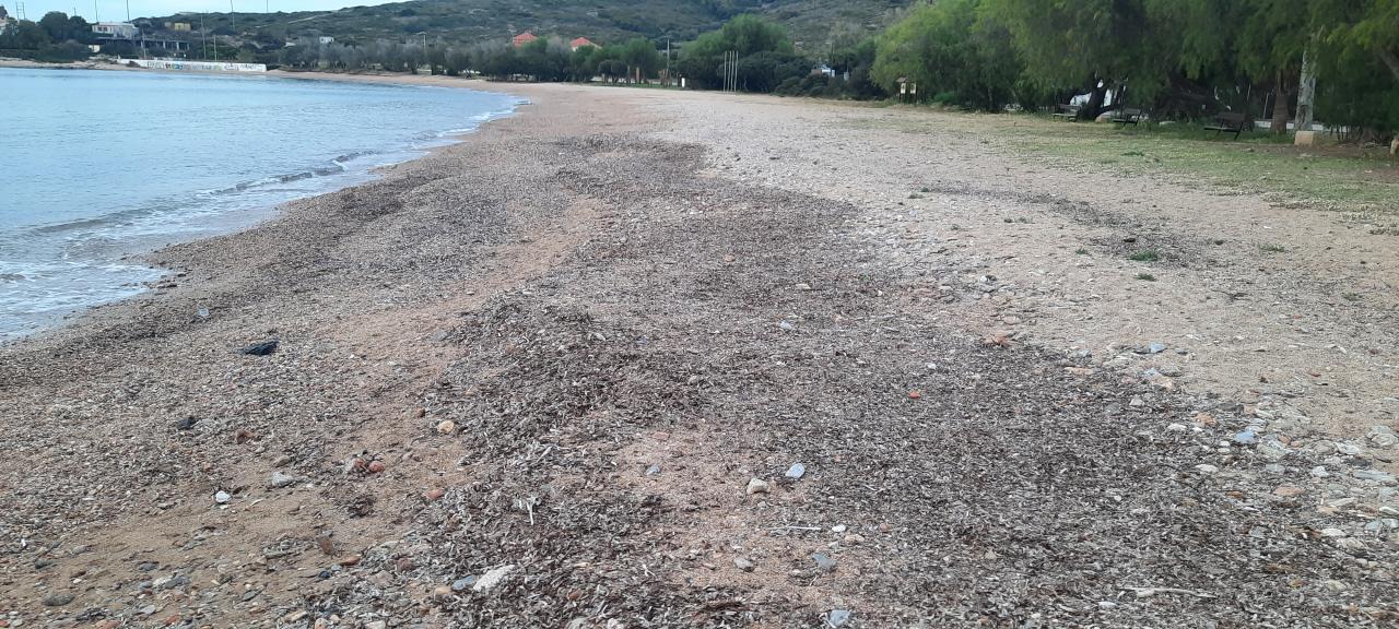 ΔΙΑΜΟΡΦΩΣΗ ΠΑΡΑΛΙΑΣ ΠΟΥΝΤΑ ΖΕΖΑ, ΛΑΥΡΙΟ – [ΑΠΡ. 2023] – ΔΑΝΕΤΑΛ