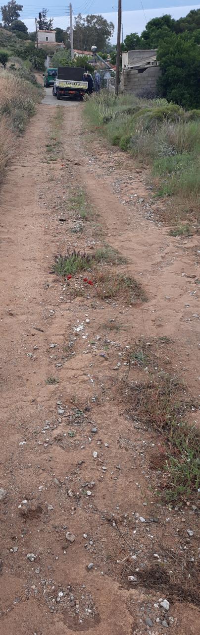 ΕΠΙΣΚΕΥΗ ΔΡΟΜΟΥ, ΠΑΡΑΛΛΗΛΟΥ ΤΗΣ ΟΔΟΥ ΘΗΒΩΝ, ΜΕ ΜΠΕΤΟΝ, ΑΓ. ΜΑΡΙΝΑ ...