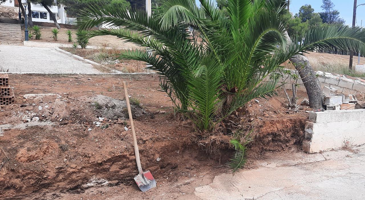 ΕΠΙΣΚΕΥΗ ΤΟΙΧΙΟΥ ΕΠΙ ΤΗΣ ΟΔΟΥ ΑΝΑΣΤΑΣΙΟΥ ΧΑΤΖΗΠΑΝΑΓΟΥ, ΚΥΠΡΙΑΝΟΣ ...