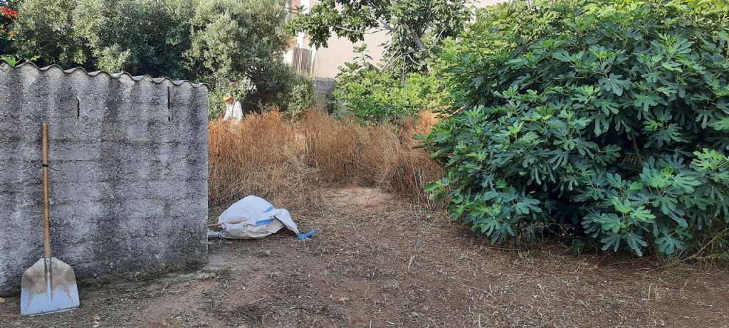 ΚΑΘΑΡΙΣΜΟΣ ΟΙΚΟΠΕΔΟΥ ΕΠΙ ΟΔΩΝ ΔΑΡΟΔΗ ΚΑΙ ΠΡΑΞΙΤΕΛΟΥΣ, ΛΑΥΡΙΟ – [ΙΟΥΝ ...