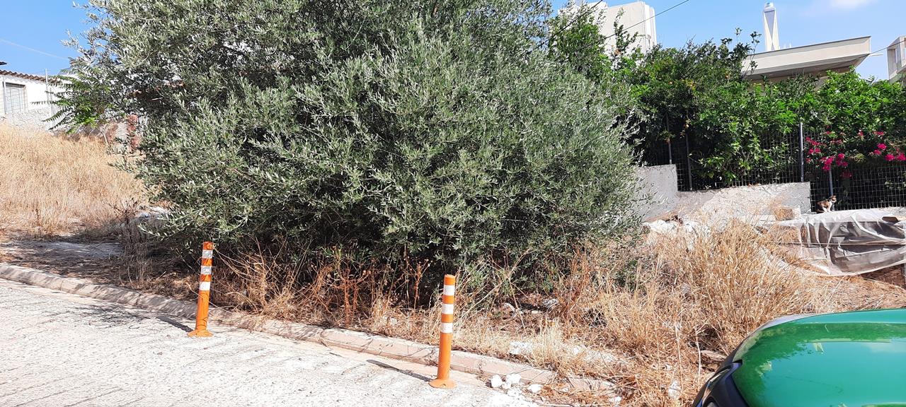 ΚΑΘΑΡΙΣΜΟΣ ΟΙΚΟΠΕΔΟΥ ΕΠΙ ΟΔΩΝ Γ. ΨΑΡΟΥ ΚΑΙ ΚΟΔΡΟΥ, ΛΑΥΡΙΟ – [ΑΥΓ. 2023 ...