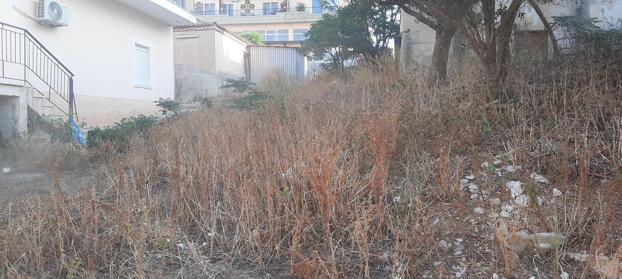 ΚΑΘΑΡΙΣΜΟΣ ΟΙΚΟΠΕΔΟΥ ΕΠΙ ΟΔΟΥ ΑΛΚΙΒΙΑΔΟΥ, ΛΑΥΡΙΟ – [ΜΑΪ. 2023] – ΔΑΝΕΤΑΛ