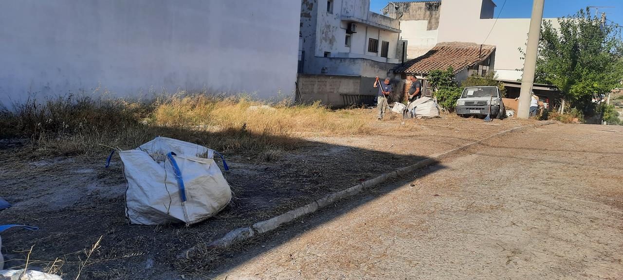ΚΑΘΑΡΙΣΜΟΣ ΟΙΚΟΠΕΔΟΥ ΕΠΙ ΟΔΟΥ ΚΩΦΙΝΑΚΟΥ, ΛΑΥΡΙΟ – [ΑΥΓ. 2023] – ΔΑΝΕΤΑΛ