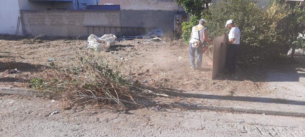 ΚΑΘΑΡΙΣΜΟΣ ΟΙΚΟΠΕΔΟΥ ΕΠΙ ΟΔΟΥ ΚΩΦΙΝΑΚΟΥ, ΛΑΥΡΙΟ – [ΑΥΓ. 2023] – ΔΑΝΕΤΑΛ