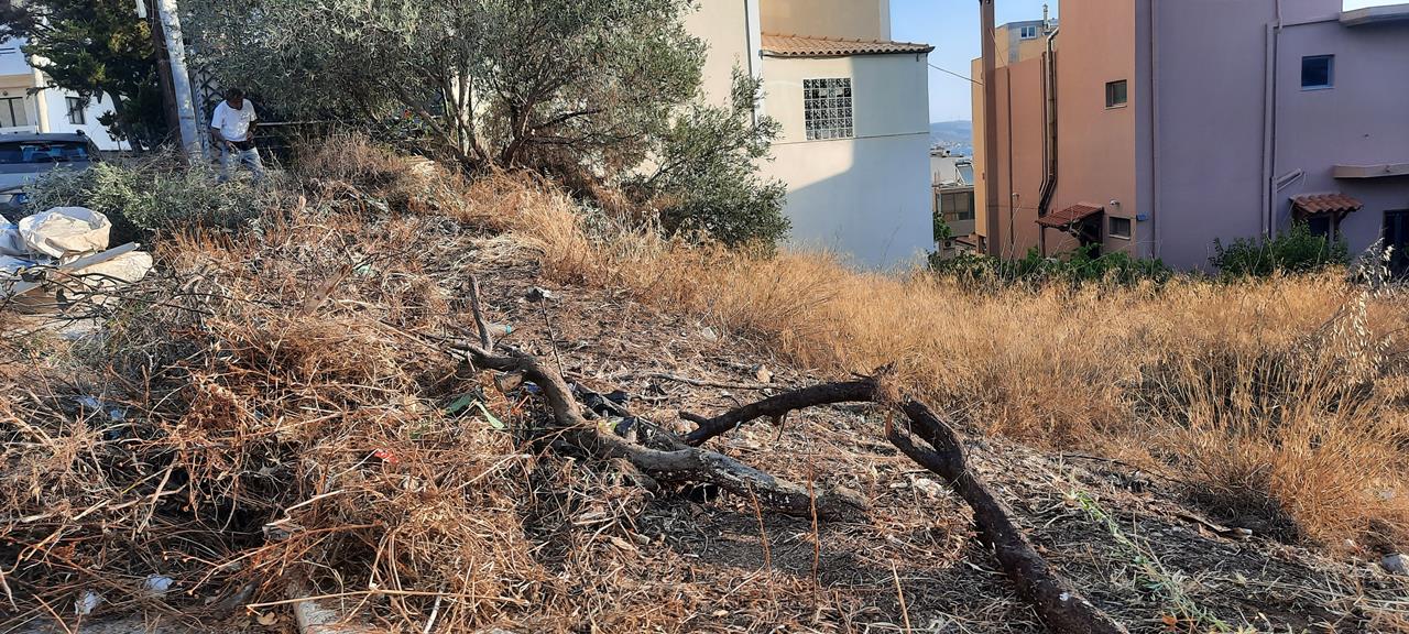 ΚΑΘΑΡΙΣΜΟΣ ΟΙΚΟΠΕΔΟΥ ΕΠΙ ΟΔΟΥ ΛΑΚΩΝΩΝ, ΛΑΥΡΙΟ – [ΑΥΓ. 2023] – ΔΑΝΕΤΑΛ