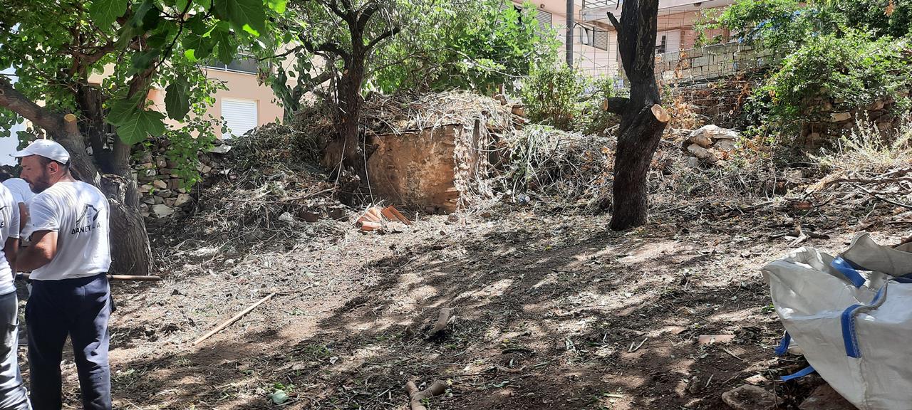 ΚΑΘΑΡΙΣΜΟΣ ΟΙΚΟΠΕΔΟΥ ΕΠΙ ΟΔΟΥ Θ. ΛΕΜΠΕΣΗ, ΛΑΥΡΙΟ – [ΙΟΥΛ. 2023] – ΔΑΝΕΤΑΛ