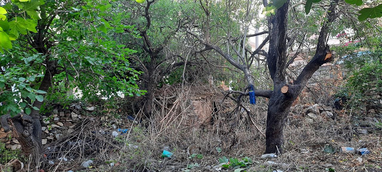 ΚΑΘΑΡΙΣΜΟΣ ΟΙΚΟΠΕΔΟΥ ΕΠΙ ΟΔΟΥ Θ. ΛΕΜΠΕΣΗ, ΛΑΥΡΙΟ – [ΙΟΥΛ. 2023] – ΔΑΝΕΤΑΛ