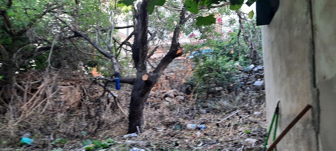 ΚΑΘΑΡΙΣΜΟΣ ΟΙΚΟΠΕΔΟΥ ΕΠΙ ΟΔΟΥ Θ. ΛΕΜΠΕΣΗ, ΛΑΥΡΙΟ – [ΙΟΥΛ. 2023] – ΔΑΝΕΤΑΛ