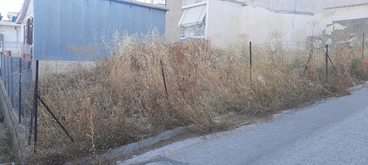 ΚΑΘΑΡΙΣΜΟΣ ΟΙΚΟΠΕΔΟΥ ΕΠΙ ΟΔΟΥ ΤΙΤΑΝΩΝ, ΛΑΥΡΙΟ – [ΙΟΥΛ. 2023] – ΔΑΝΕΤΑΛ