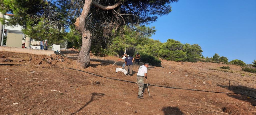 ΚΑΘΑΡΙΣΜΟΣ ΟΙΚΟΠΕΔΟΥ, ΕΡΓΑΤΙΚΕΣ ΚΑΤΟΙΚΙΕΣ, ΛΑΥΡΙΟ – [ΙΟΥΛ. 2023] – ΔΑΝΕΤΑΛ