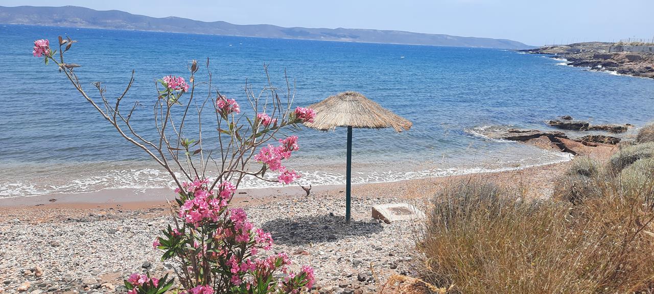 ΤΟΠΟΘΕΤΗΣΗ ΟΜΠΡΕΛΩΝ ΣΤΙΣ ΠΑΡΑΛΙΕΣ ΝΗΣΑΚΙ, ΧΟΕΜΠΟΣ ΚΑΙ ΟΞΥΓΟΝΟ, ΛΑΥΡΙΟ ...